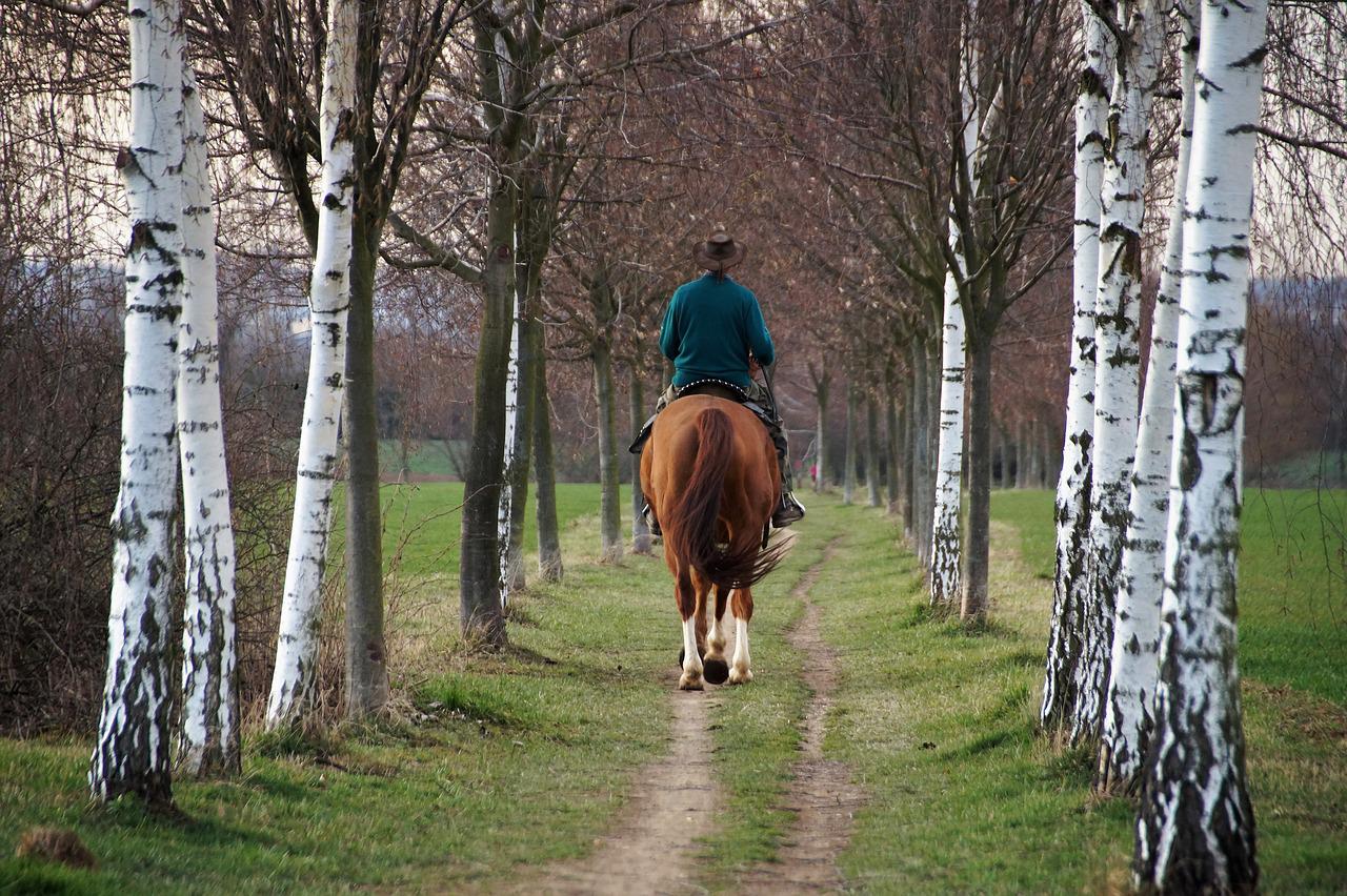 Randonner à cheval en France : quelques sites et nos conseils